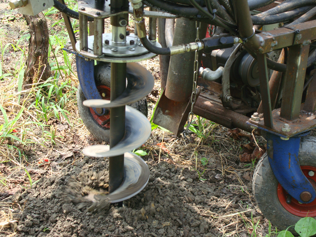 Taiwan Agricultural Research Institute, Ministry of Agriculture ...