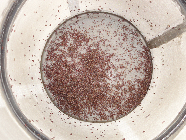 Taiwan Agricultural Research Institute, Ministry of Agriculture ...